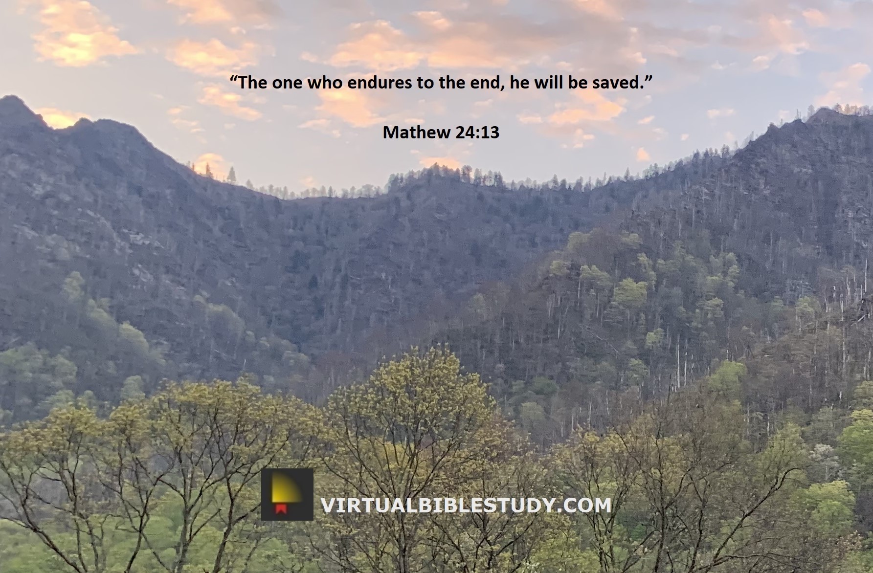 Mathew 24 Lesson - Virtual Bible Study™