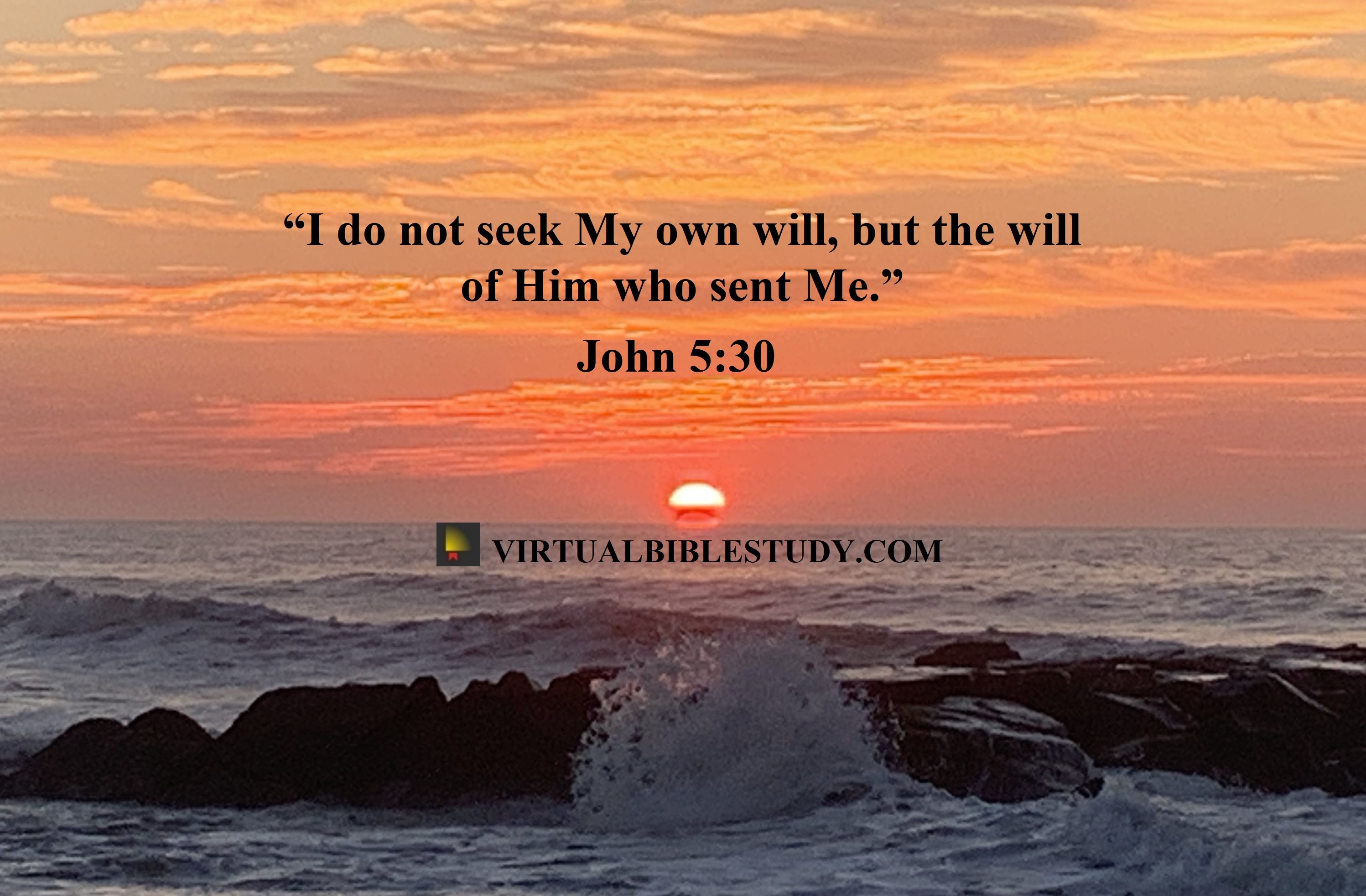 John 5 | NASB - Virtual Bible Study™