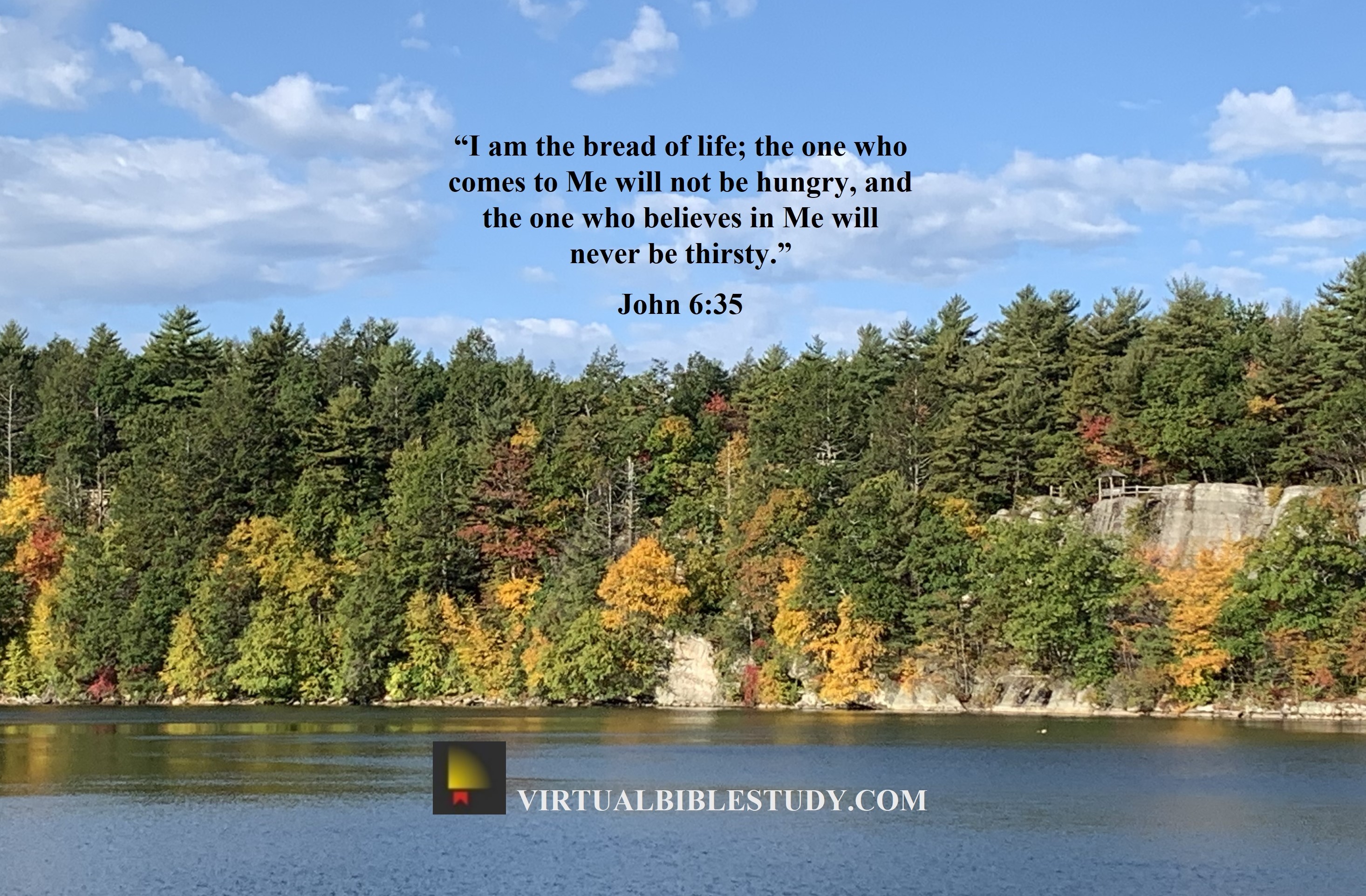 John 6 | NASB - Virtual Bible Study™