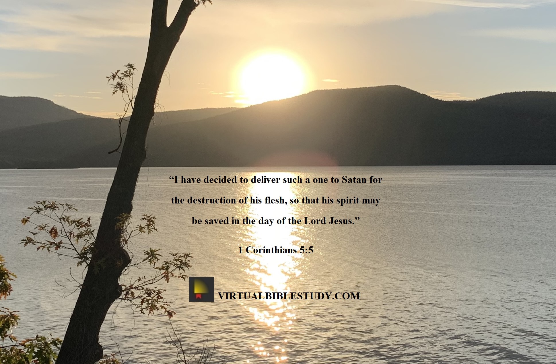 1 Corinthians 5 | NASB - Virtual Bible Study™