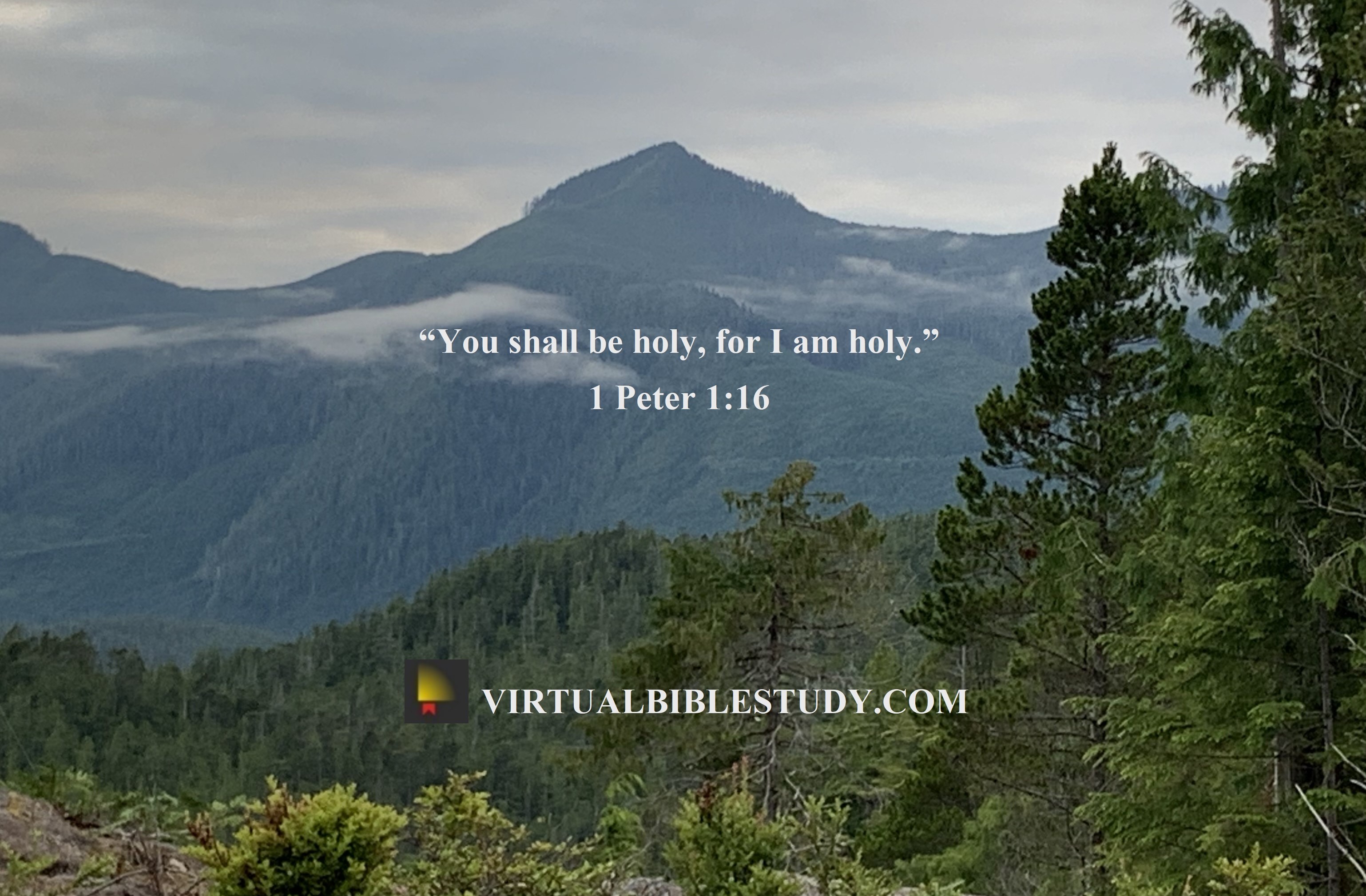 1 Peter 1 | NASB - Virtual Bible Study™