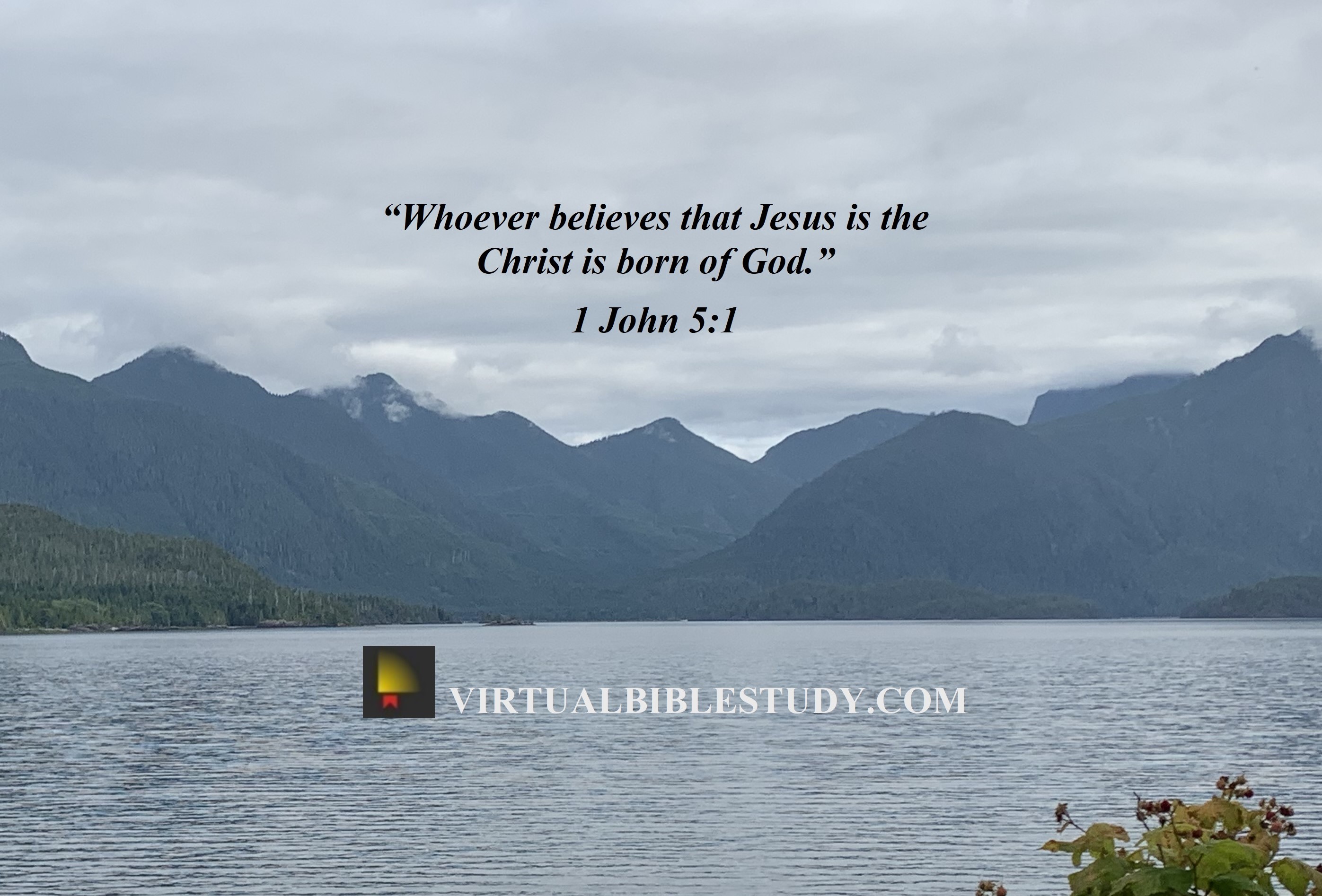 1 John 5 | NASB - Virtual Bible Study™