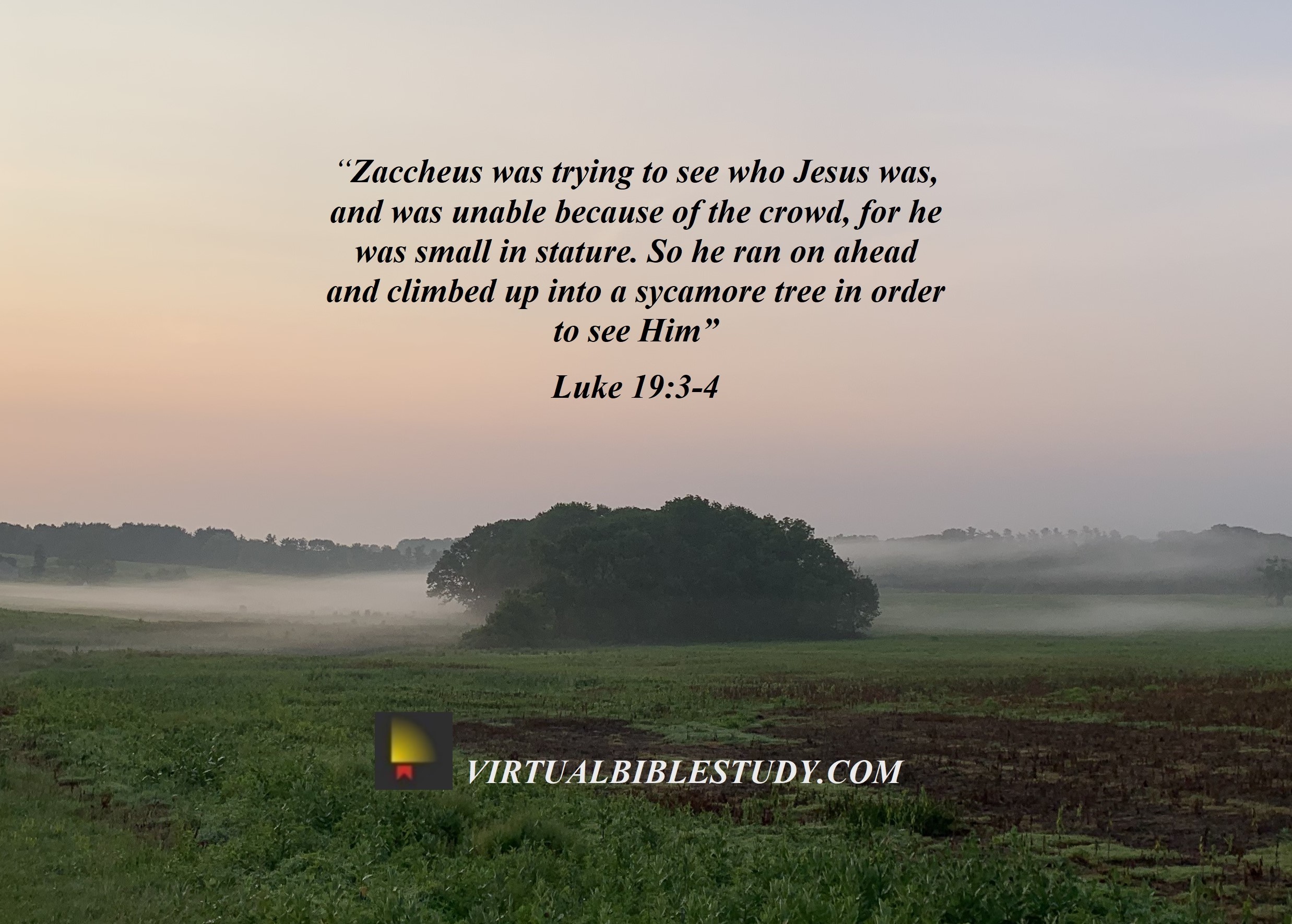 Luke 19 | NASB - Virtual Bible Study™