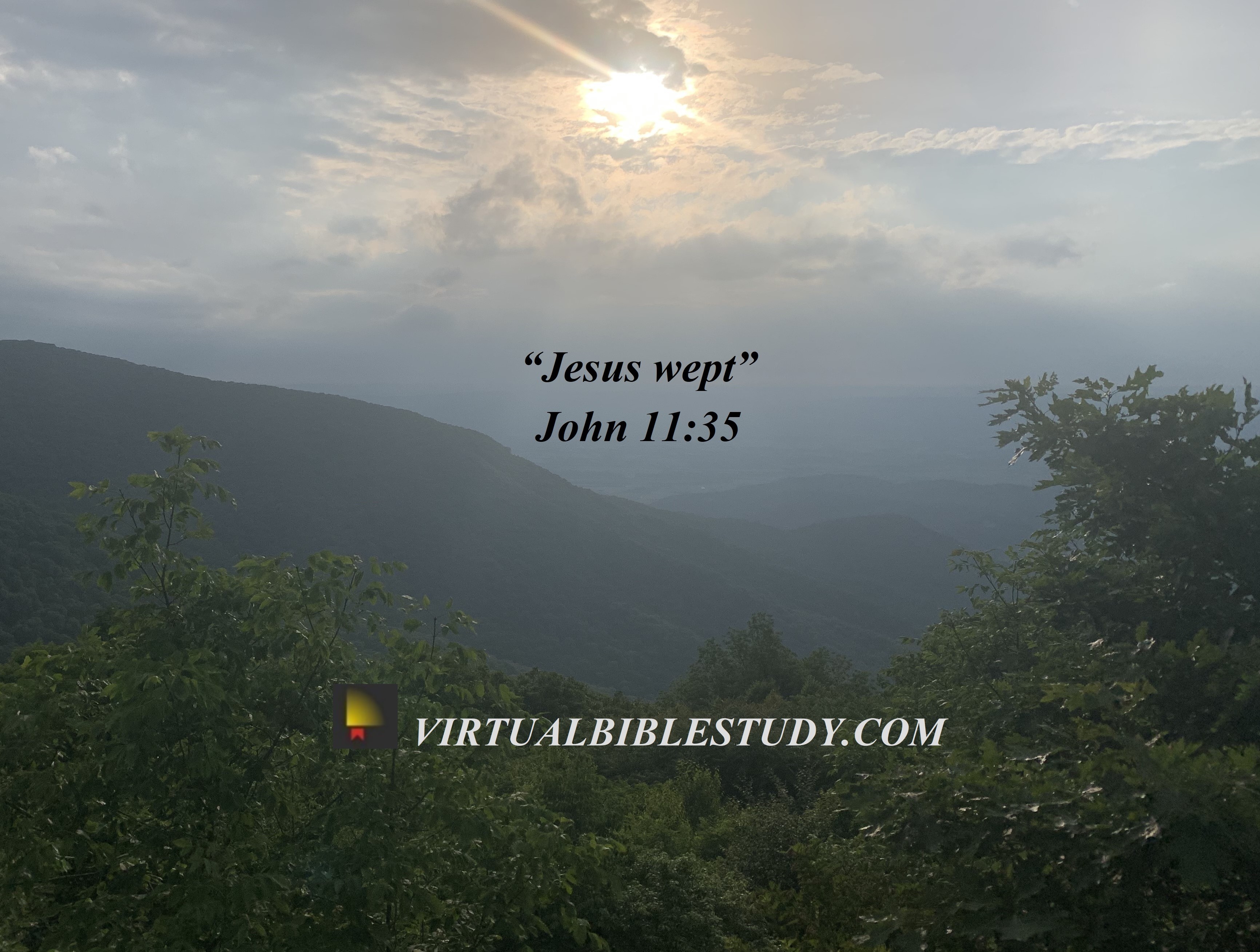John 11 Lesson - Virtual Bible Study™