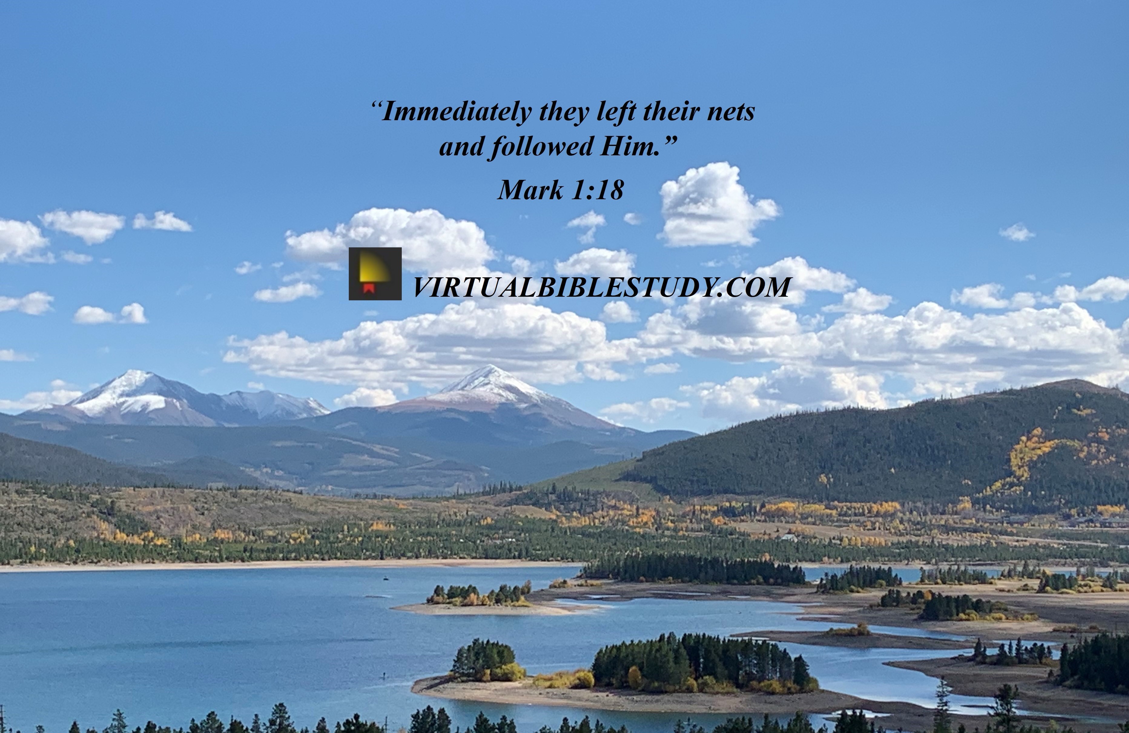 Mark 1 | NASB - Virtual Bible Study™