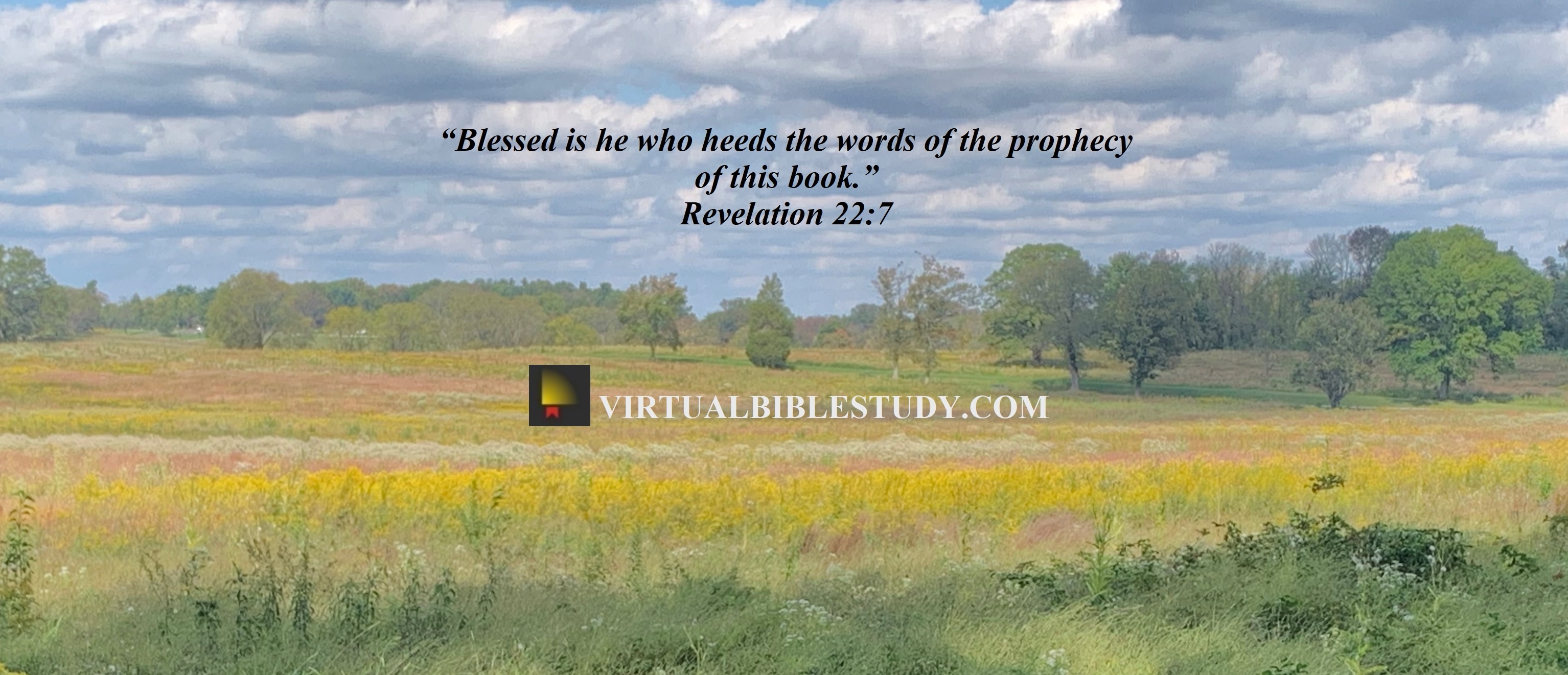 Revelation 22 Lesson - Virtual Bible Study™