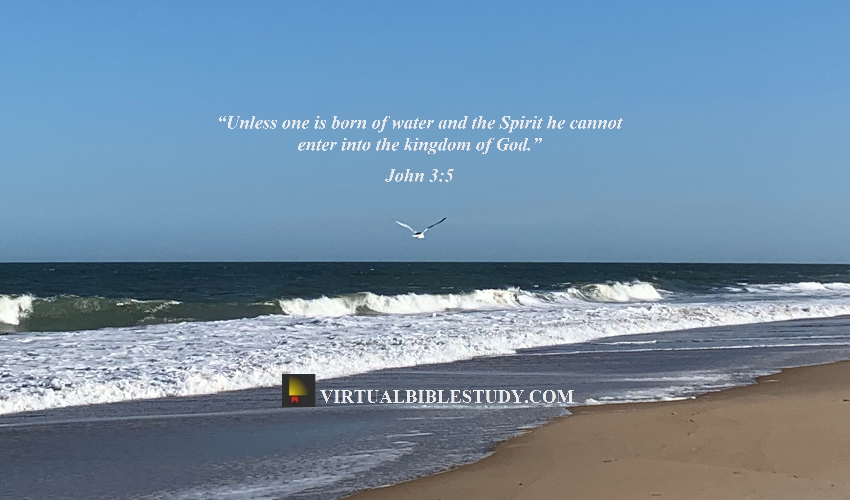 John 3 | NASB - Virtual Bible Study™