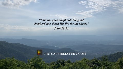 John 10 Lesson - Virtual Bible Study™