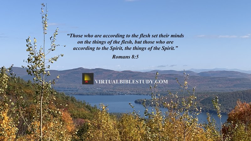 Romans 8 Lesson - Virtual Bible Study™