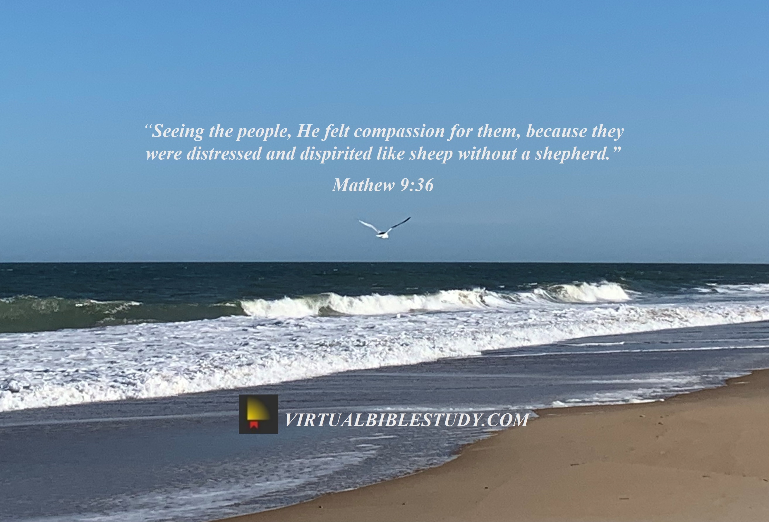 Mathew 9 Lesson - Virtual Bible Study™