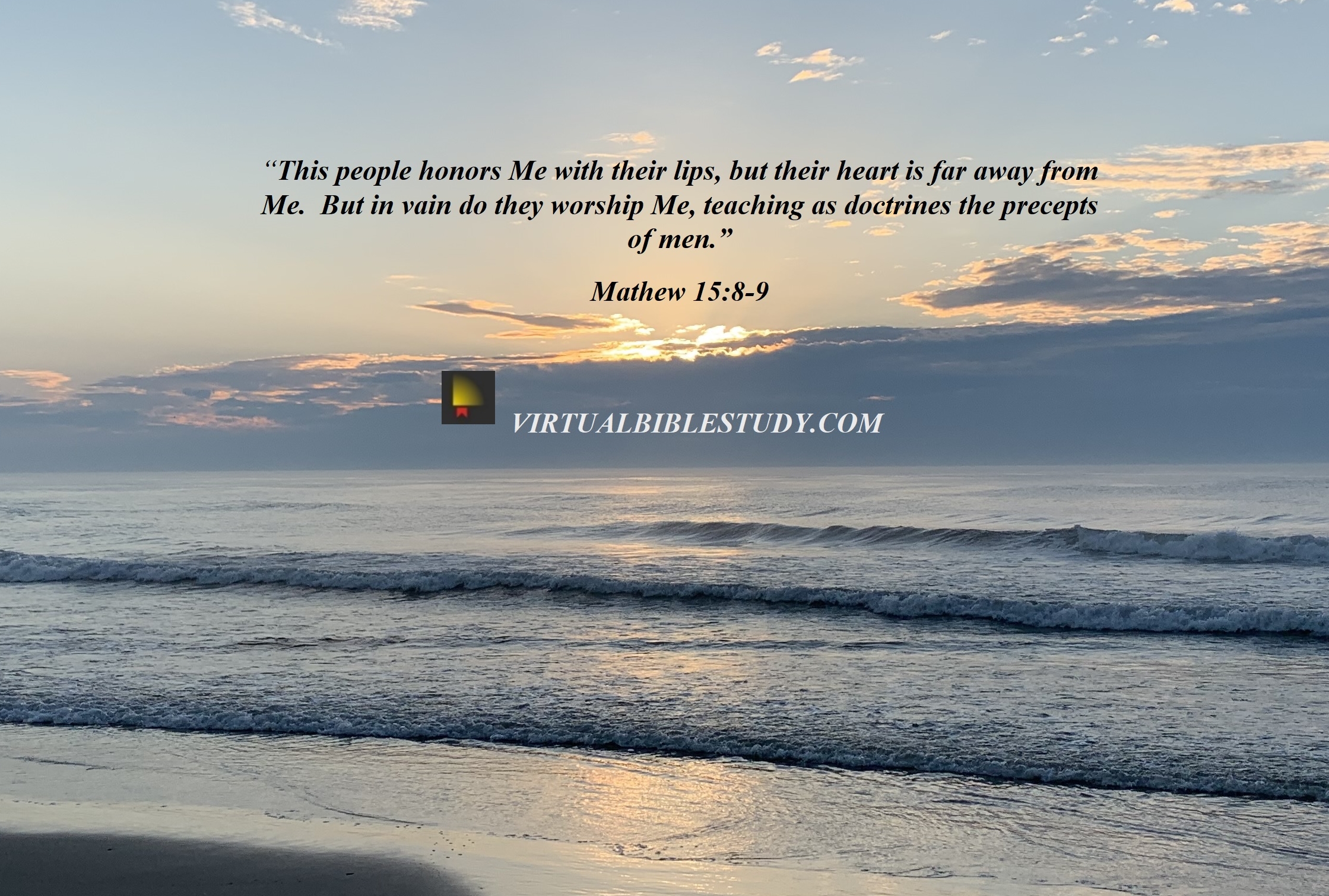 Matthew 15 | NASB - Virtual Bible Study™
