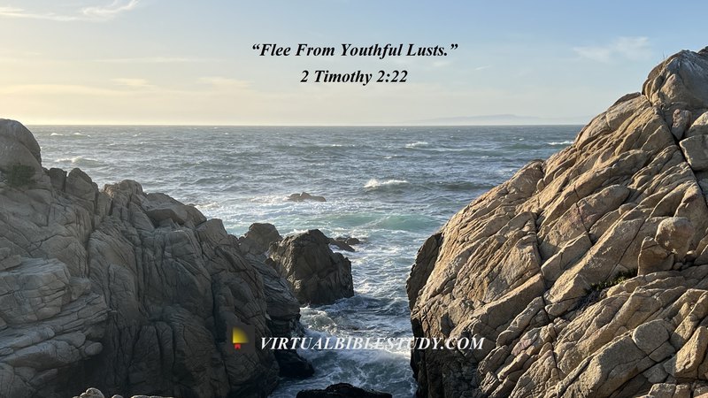 2 Timothy 2 Lesson - Virtual Bible Study™