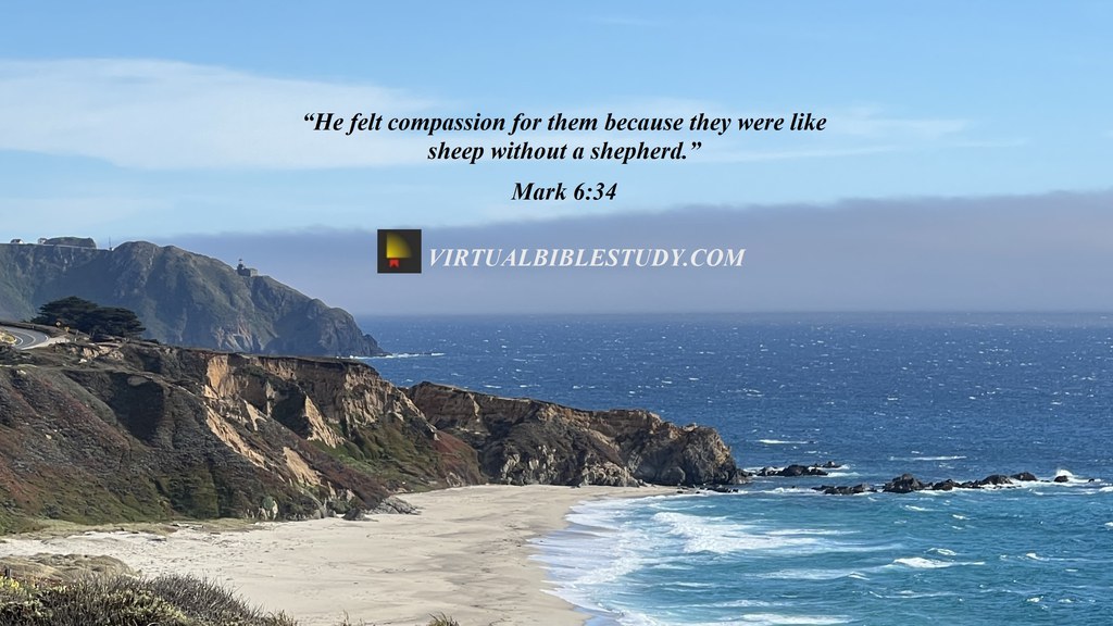 Mark 6 Lesson - Virtual Bible Study™