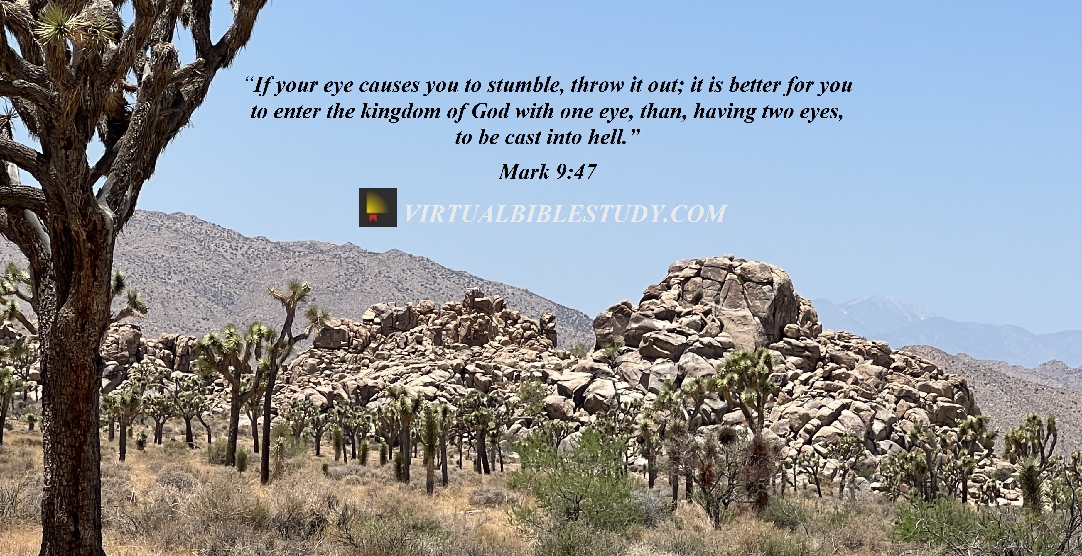 Mark 9 Lesson - Virtual Bible Study™