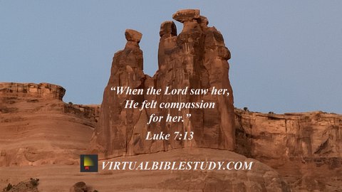 Luke 7 Lesson - Virtual Bible Study™