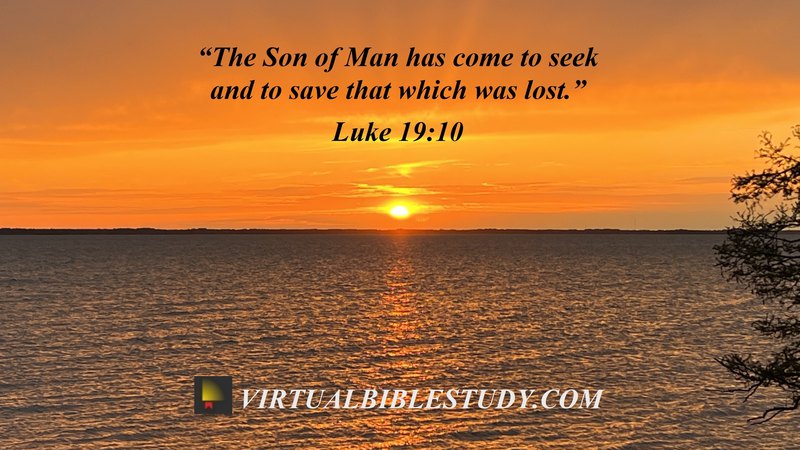 Luke 19 Lesson - Virtual Bible Study™