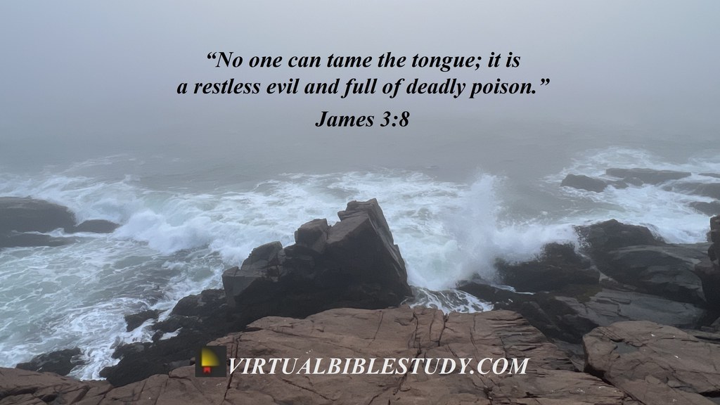 James 3 - Lesson - Virtual Bible Study™