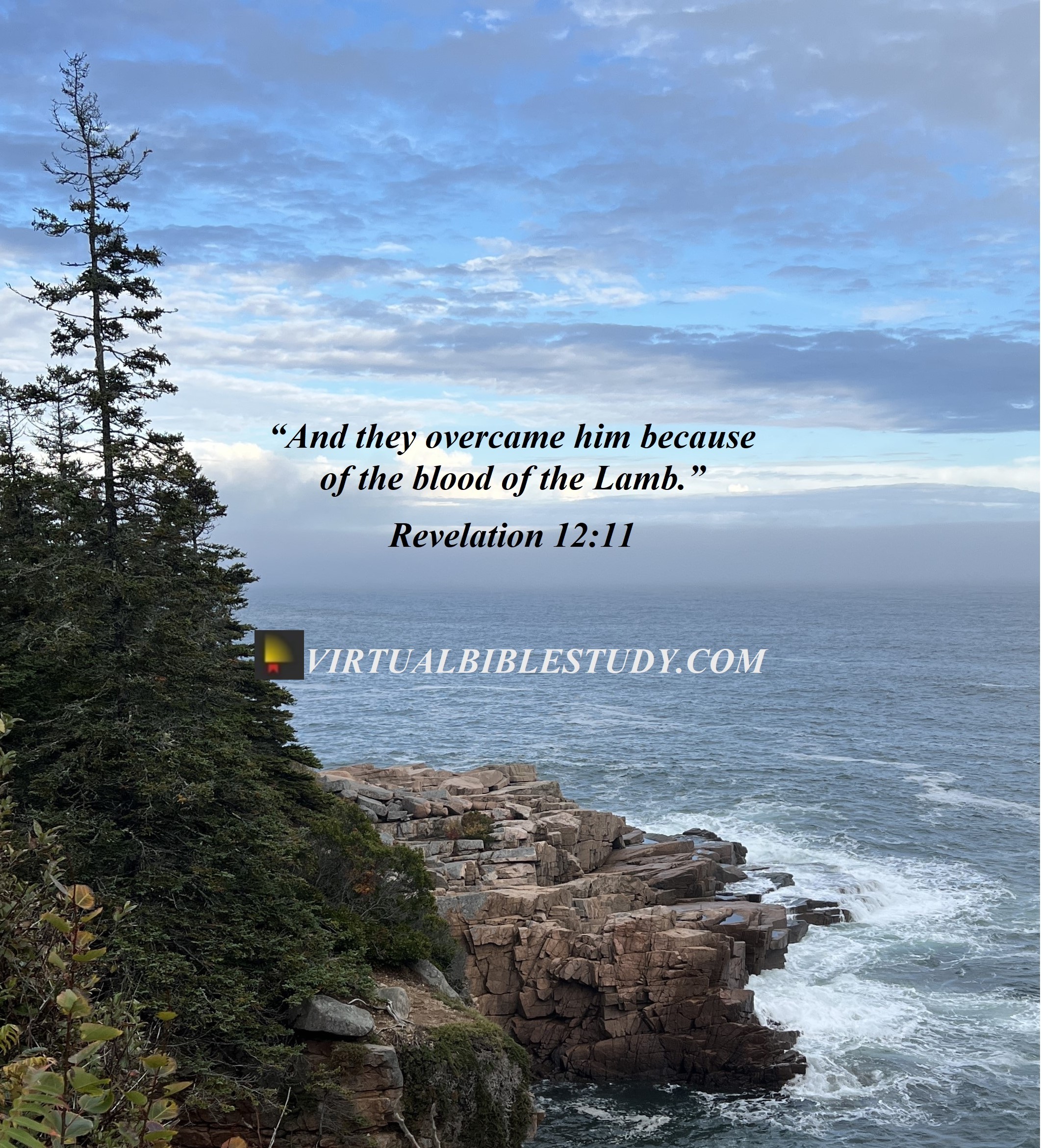 Revelation 12 Lesson - Virtual Bible Study™