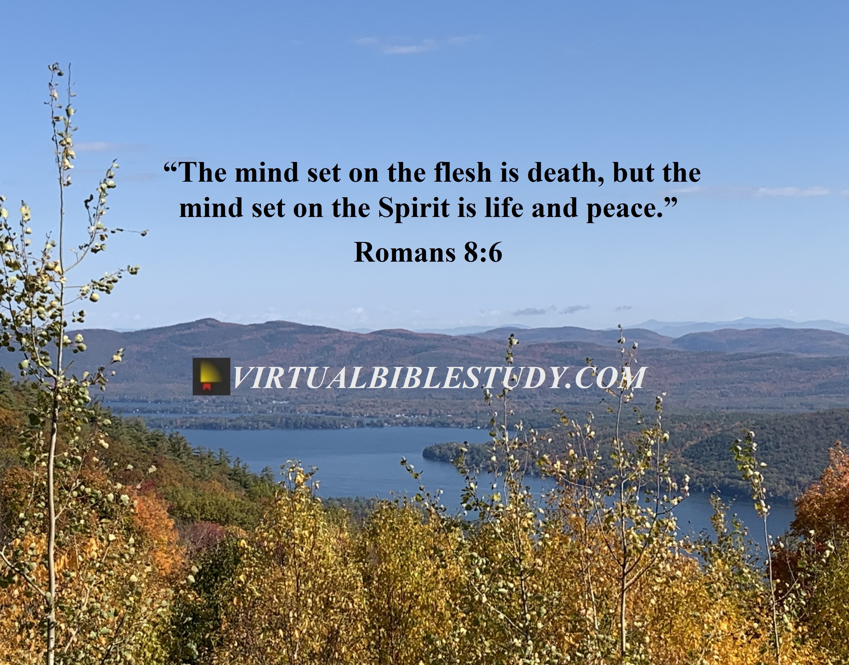 Romans 8 Lesson - Virtual Bible Study™