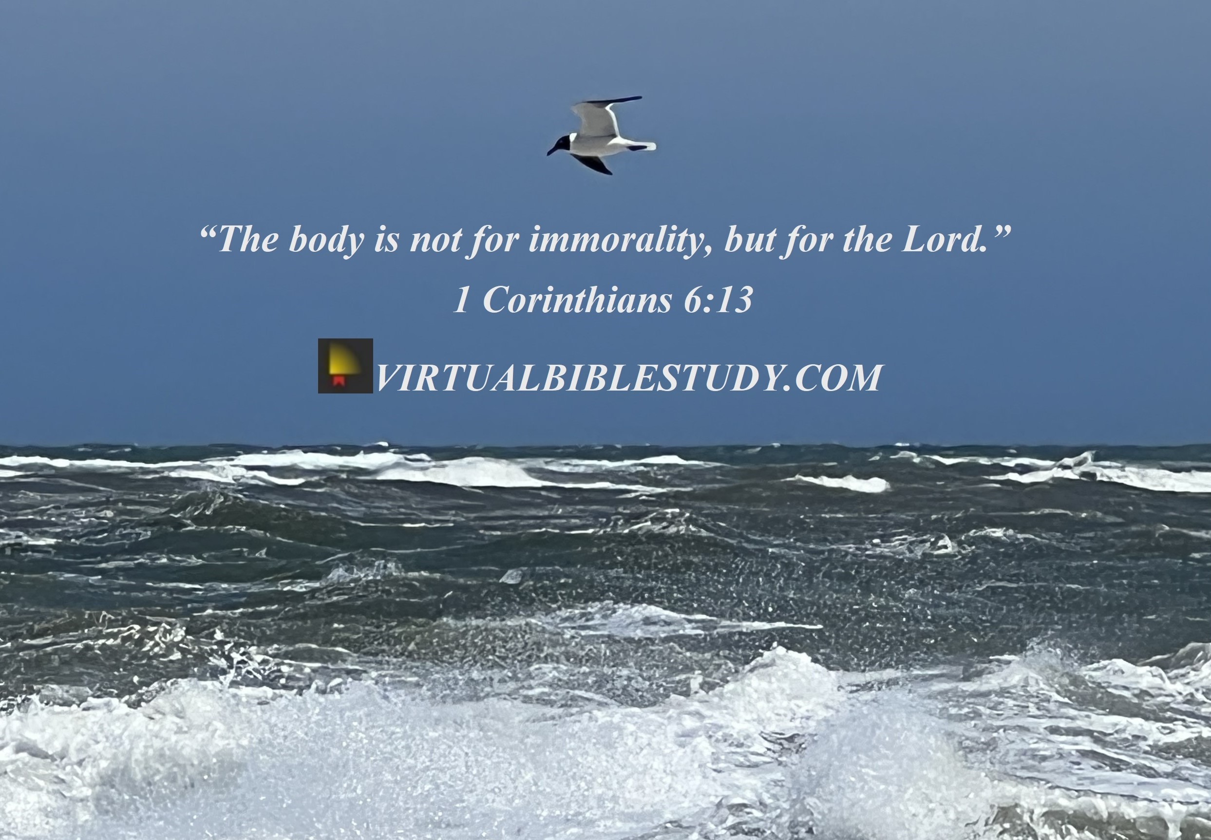 1 Corinthians 6 | NASB - Virtual Bible Study™