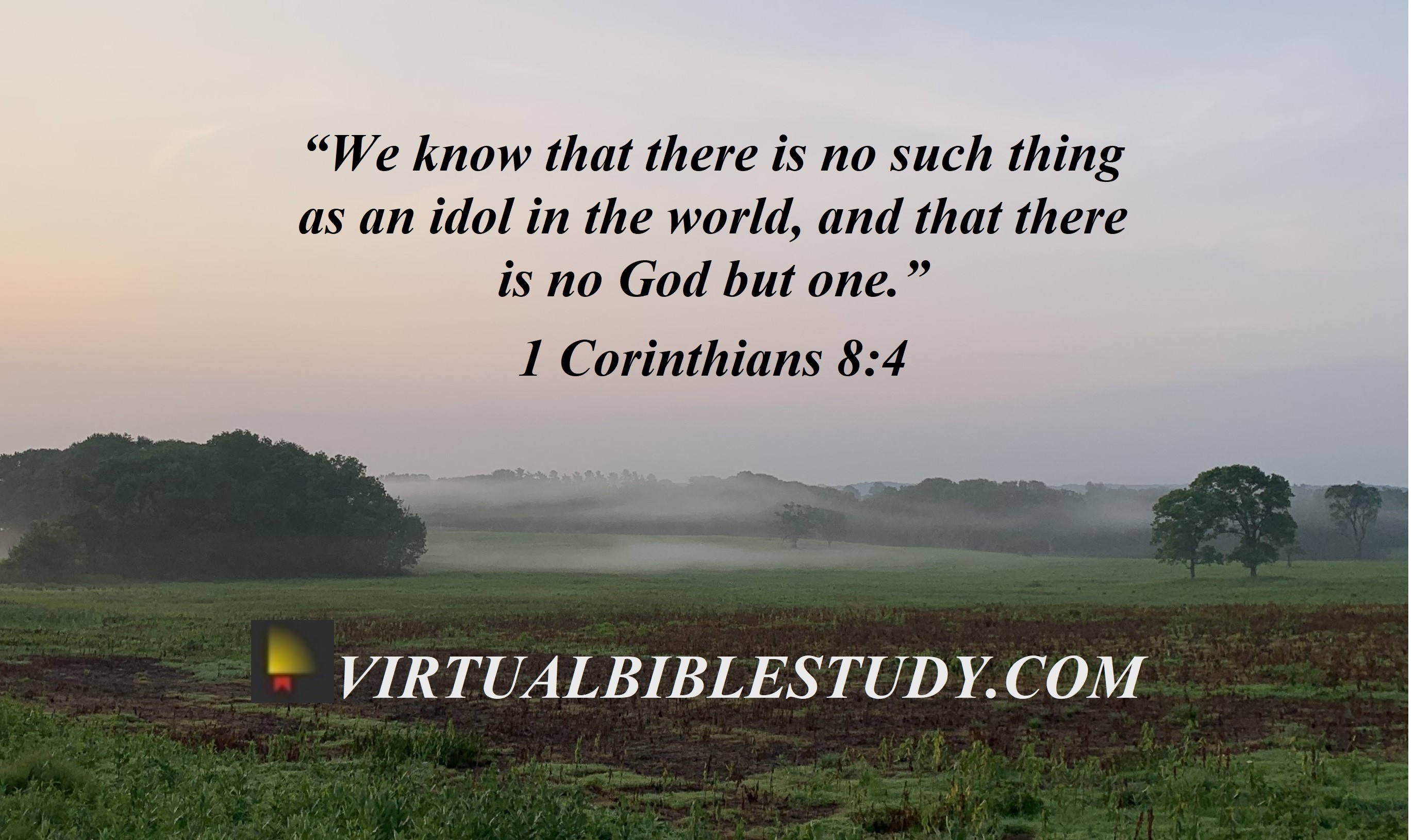 1 Corinthians 8 Lesson - Virtual Bible Study™