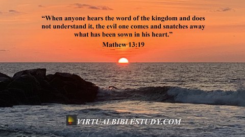 Mathew 13 Lesson - Virtual Bible Study™