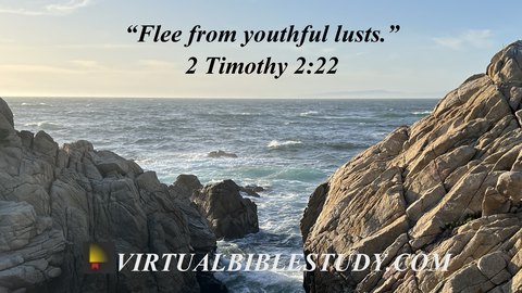 2 Timothy 2 Lesson - Virtual Bible Study™