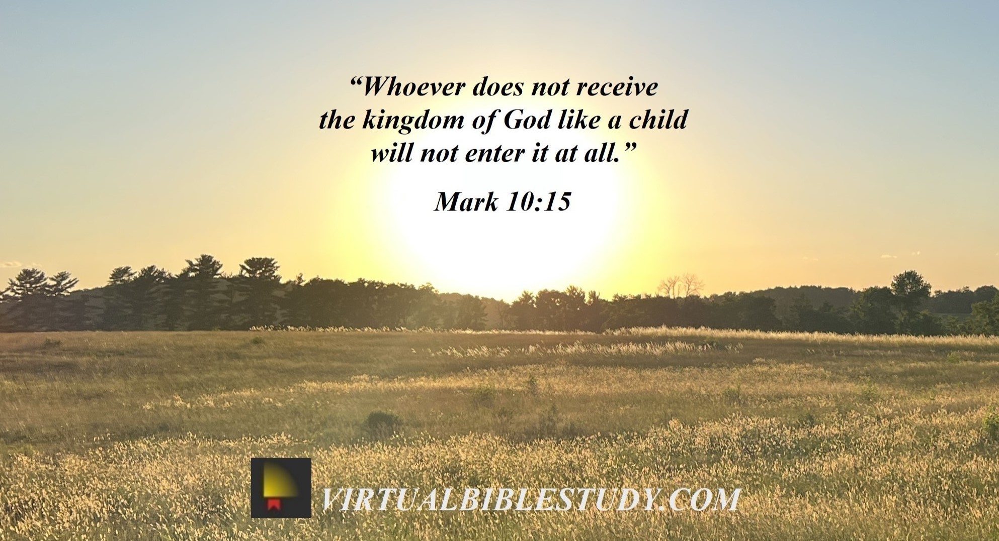 Mark 10 Lesson - Virtual Bible Study™