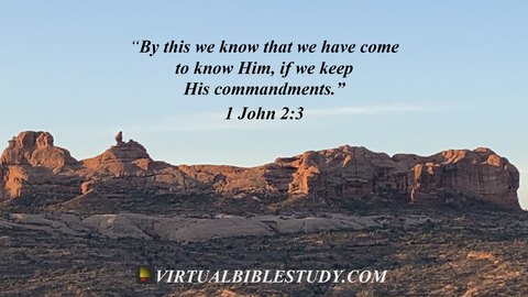 1 John 2 Lesson - Virtual Bible Study™
