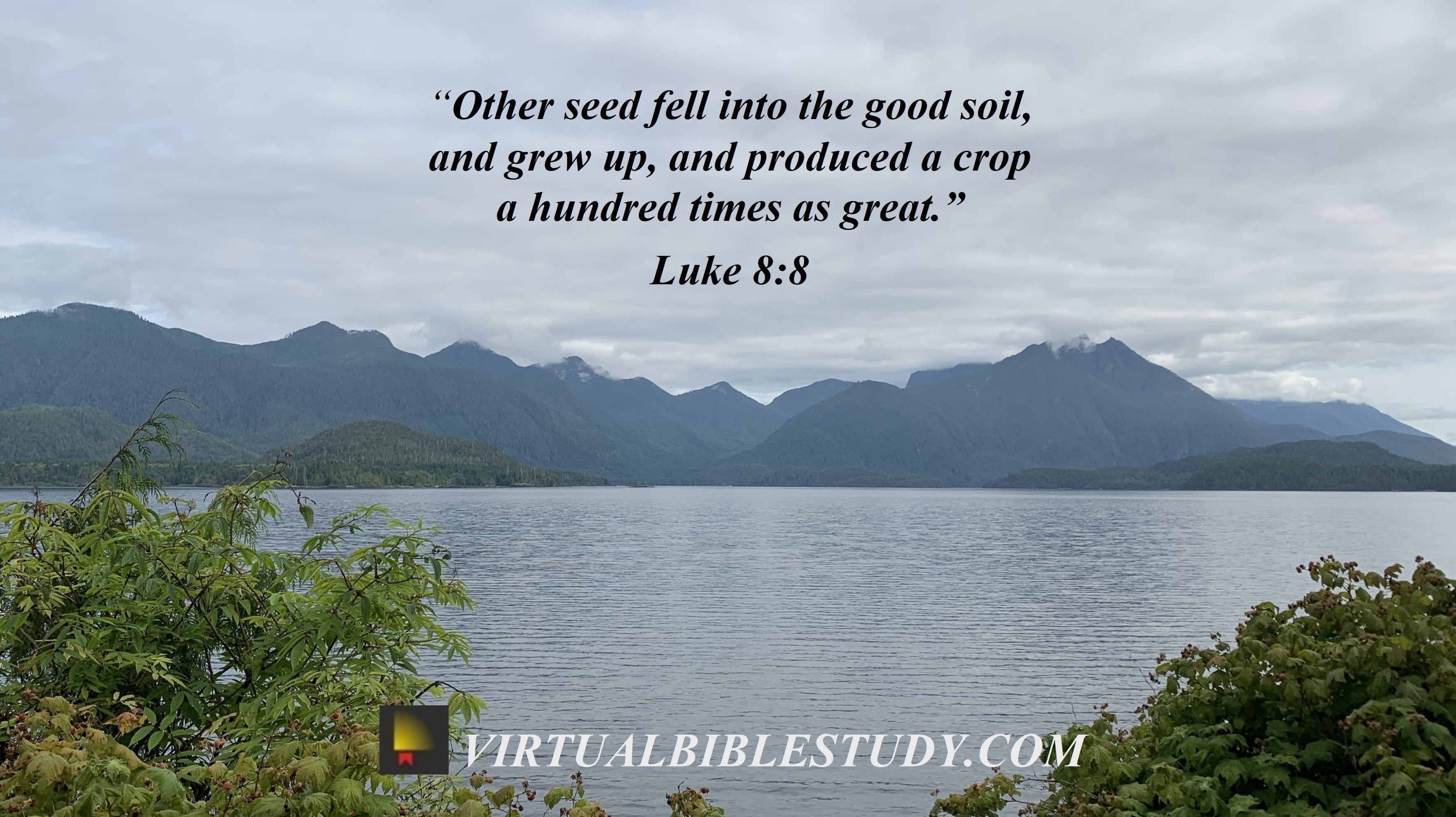 Luke 8 Lesson - Virtual Bible Study™