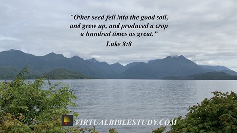 Luke 8 Lesson - Virtual Bible Study™