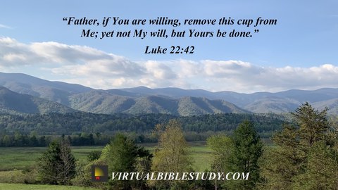 Luke 22 Lesson - Virtual Bible Study™